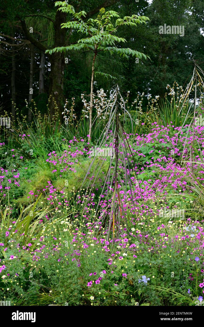 Mont vénus Banque de photographies et d’images à haute résolution - Alamy