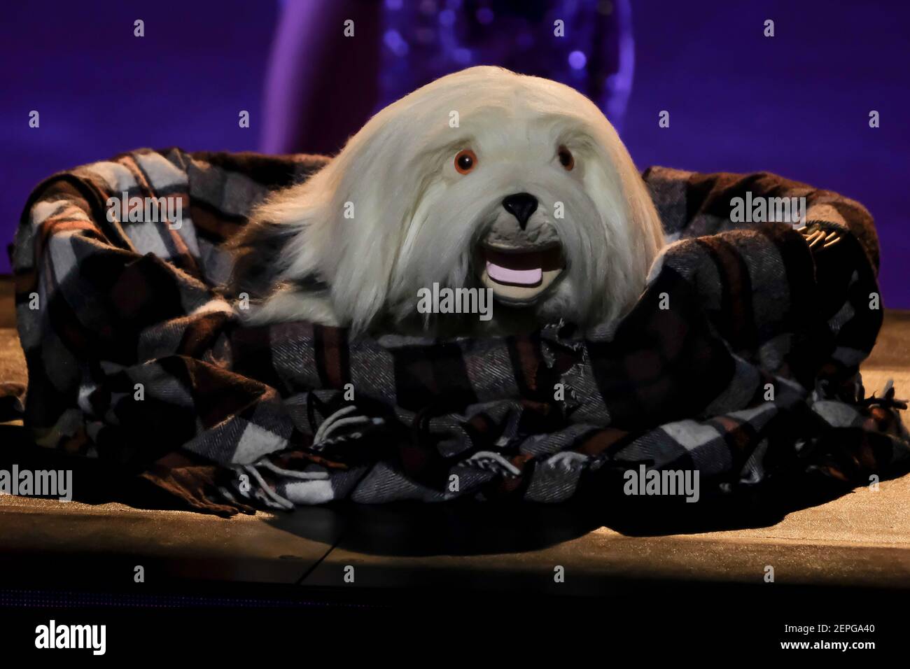Chien de marionnette Samson photographié lors du « Afscheidsshow » du ...