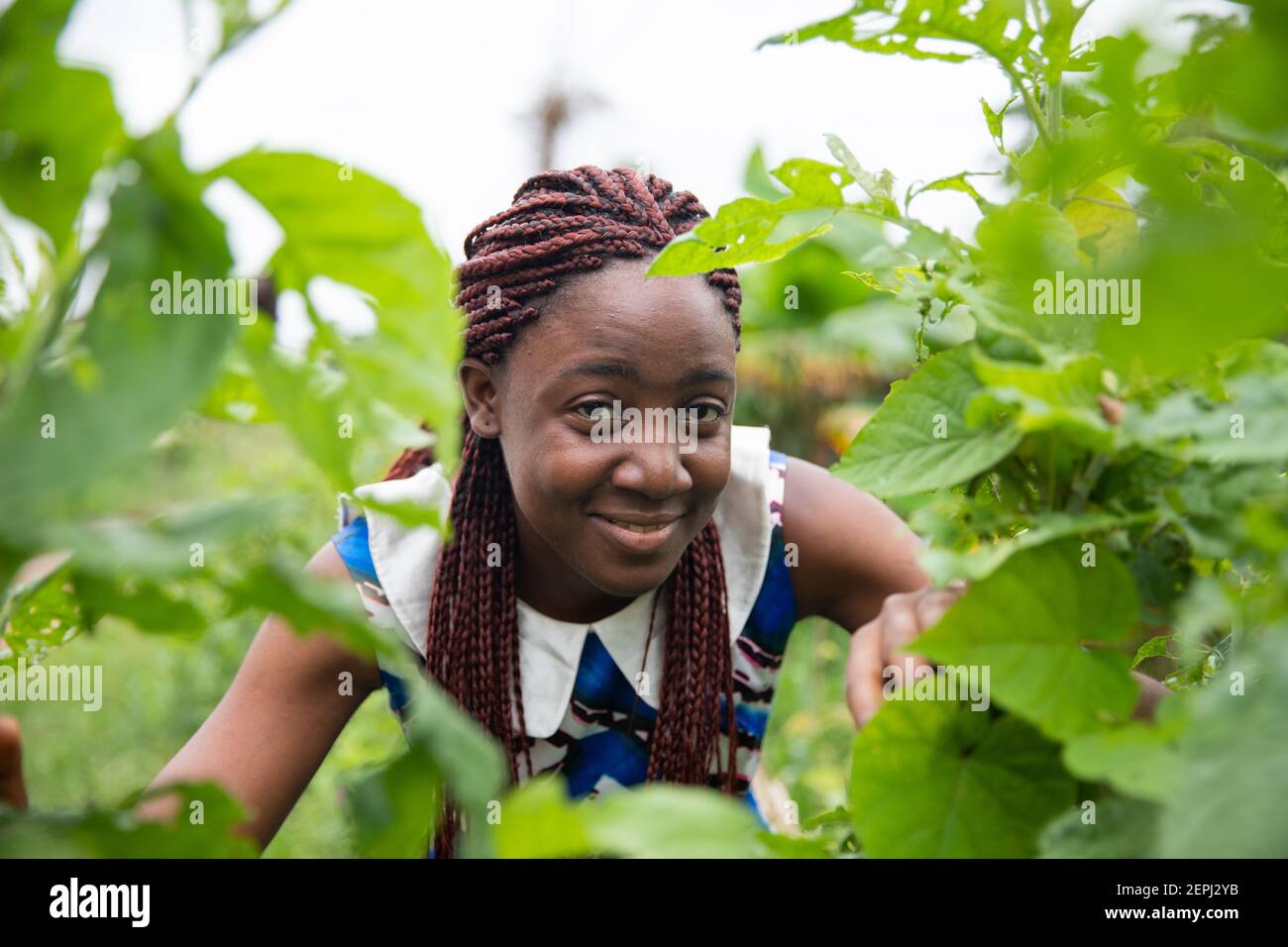 Belle Fille Africaine Banque De Photographies Et Dimages à Haute