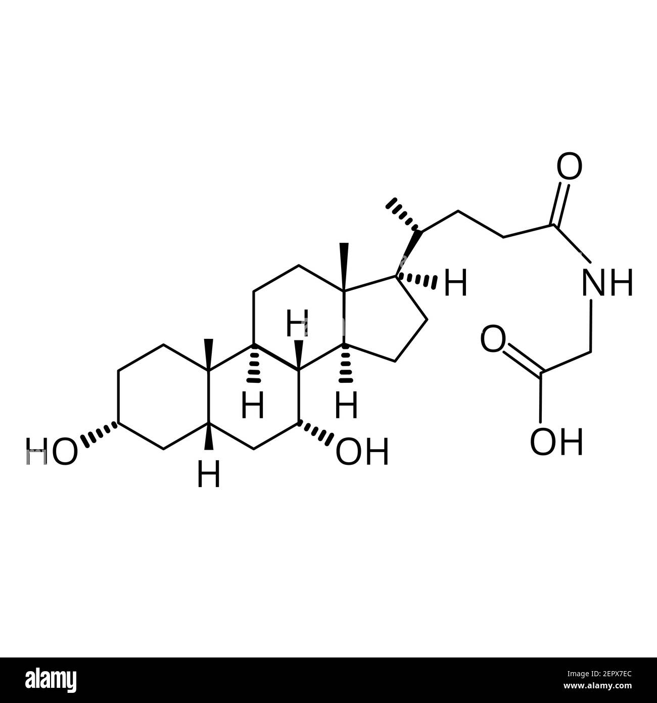 Molécule d'acide cholique acide biliaire Banque d'images vectorielles ...