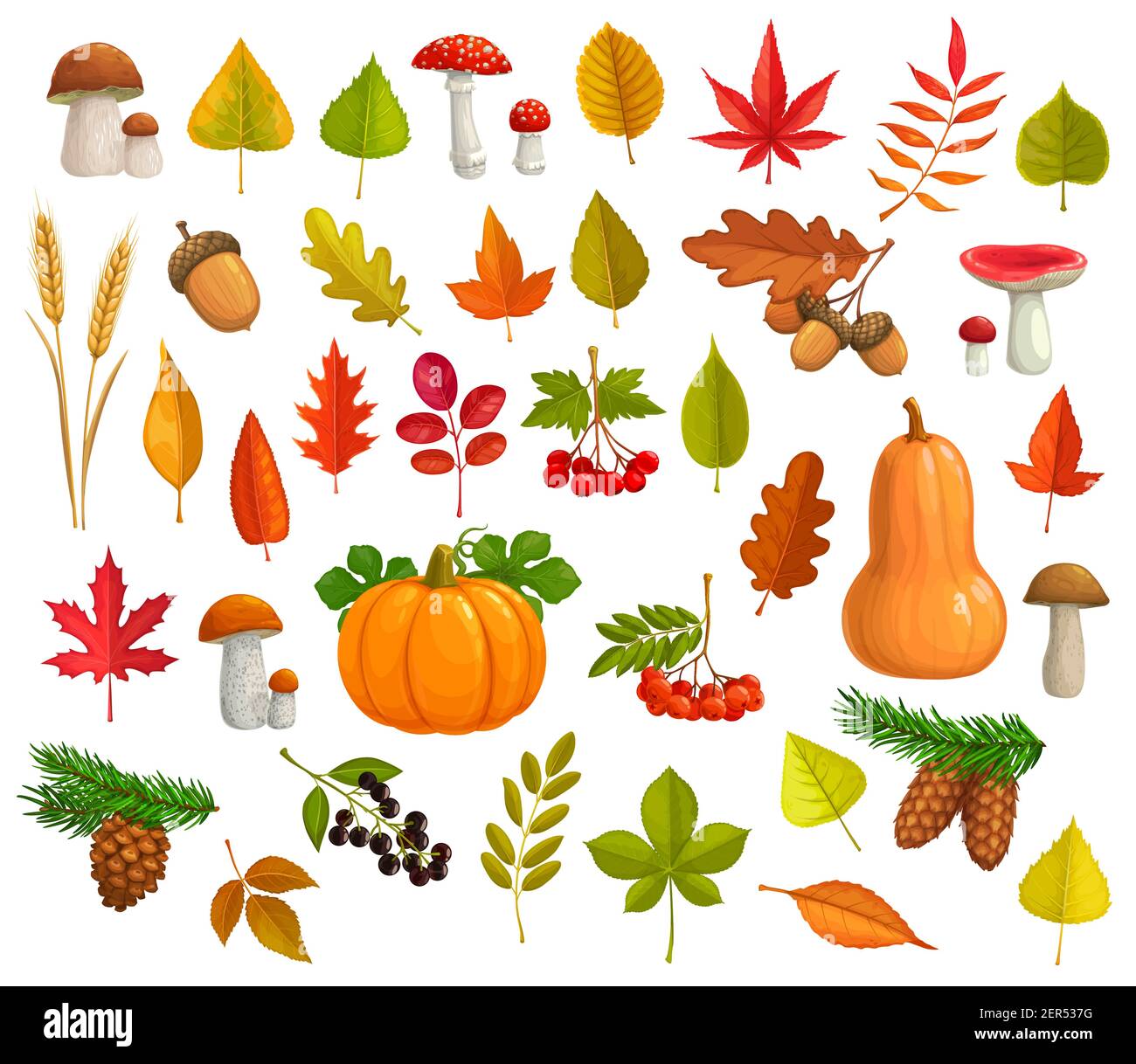 Symboles vectoriels d'automne dessins animés feuilles tombant ...