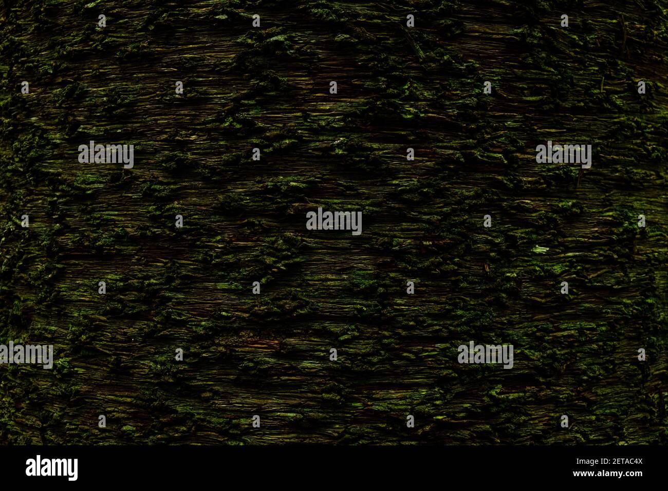 Texture de pin Banque de photographies et d’images à haute résolution ...