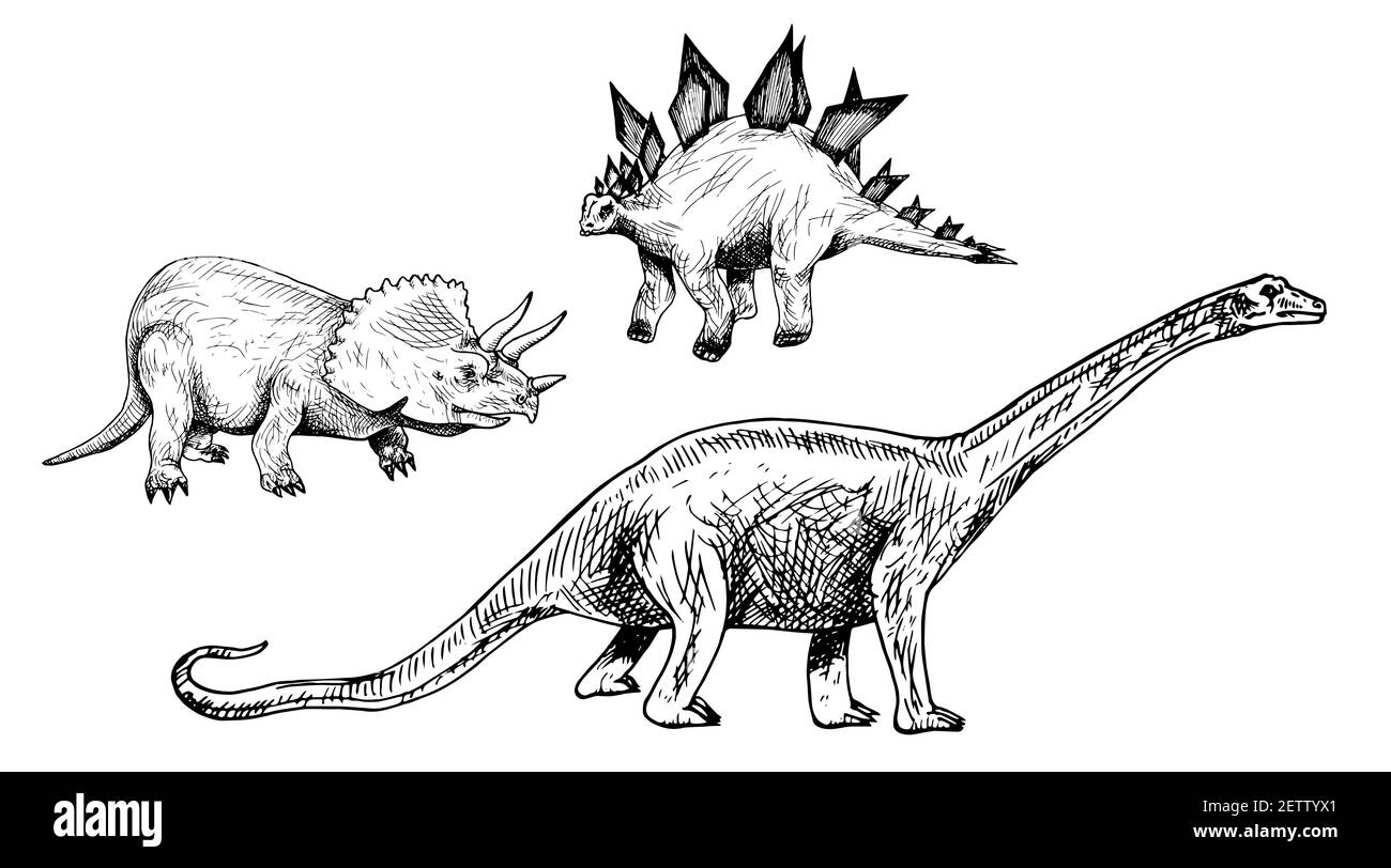 Ensemble de dinosaures végétaux : tricératops, Stegosaurus, Diplodocus, dessin de doodle noir et ...