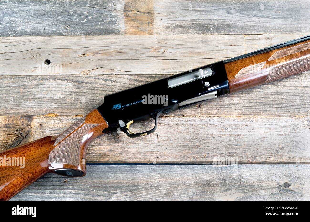 Fusil de chasse de calibre 16 Banque de photographies et d’images à ...