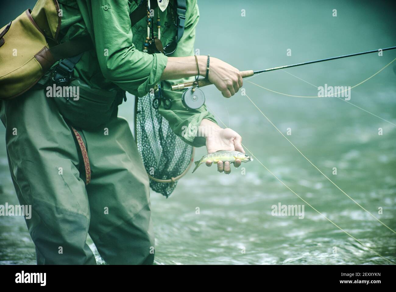 Ce poisson monstre du Maryland a finalement élevé sa tête laid et s'est ...