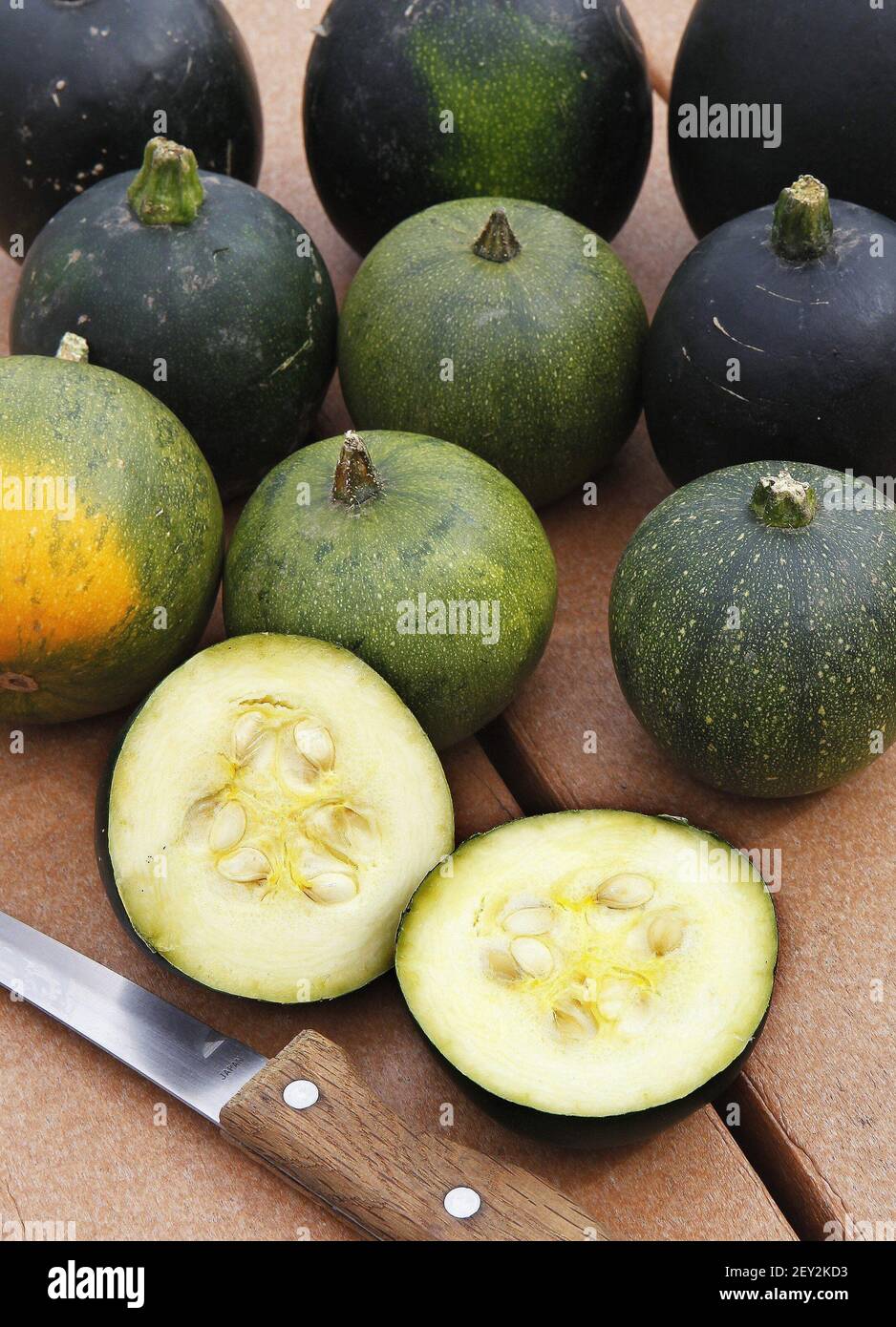 Gem squash Banque de photographies et d’images à haute résolution - Alamy