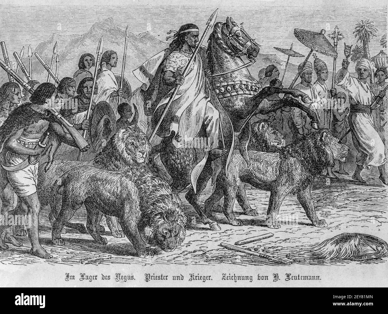 Roi negus Banque de photographies et d’images à haute résolution - Alamy