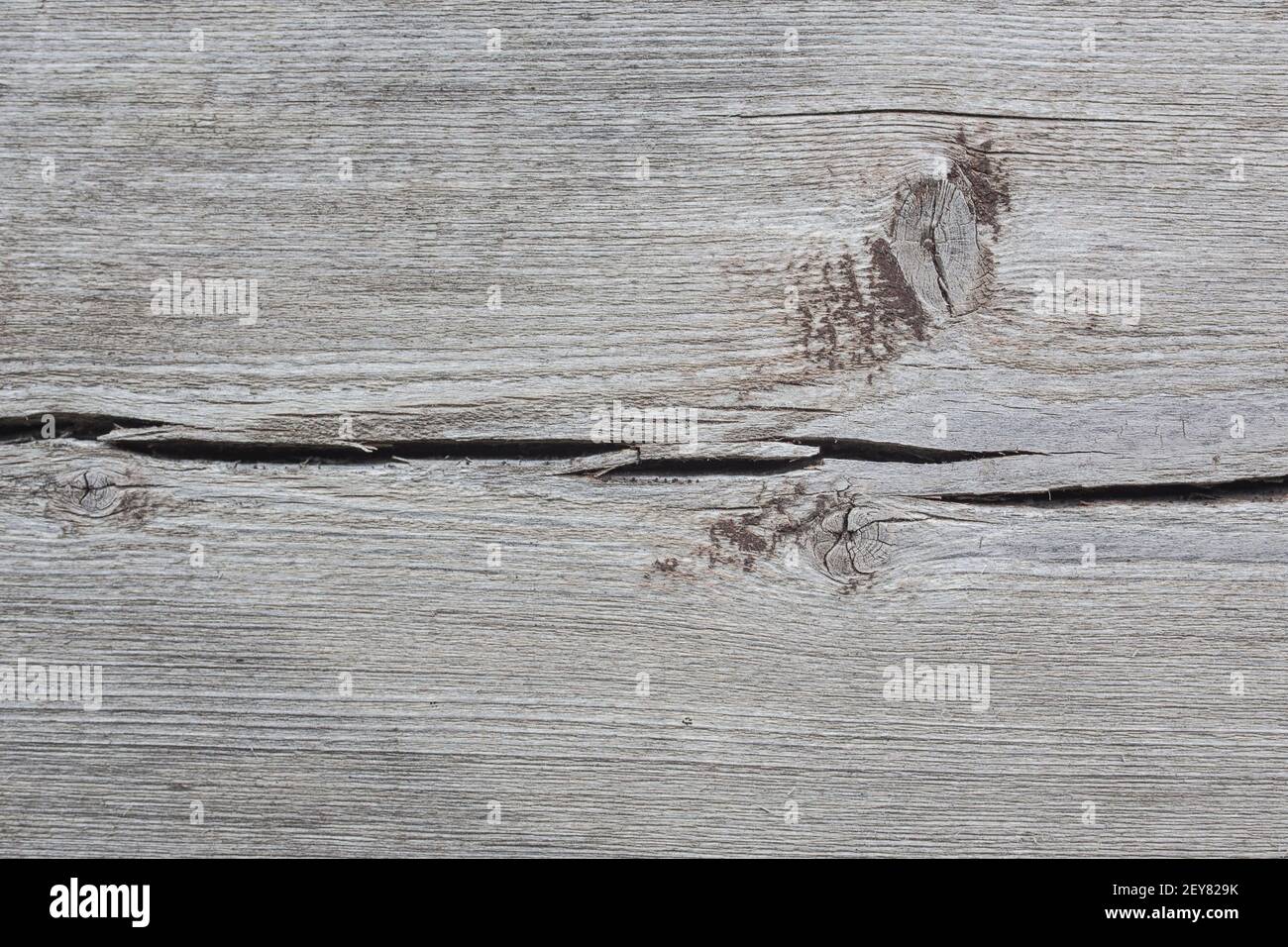 Pin gris Banque de photographies et d’images à haute résolution - Alamy