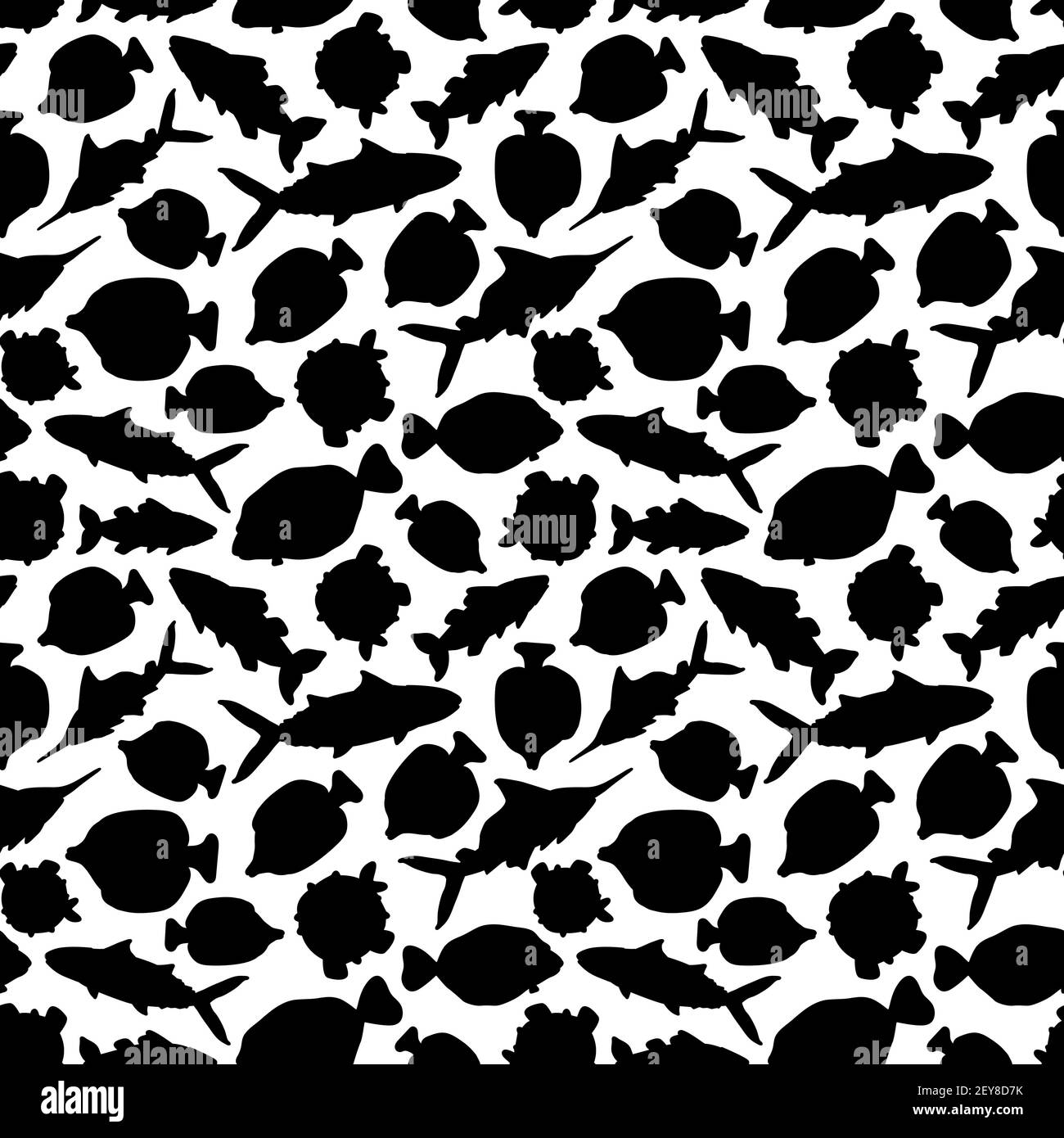 Poisson burr Banque de photographies et d’images à haute résolution - Alamy