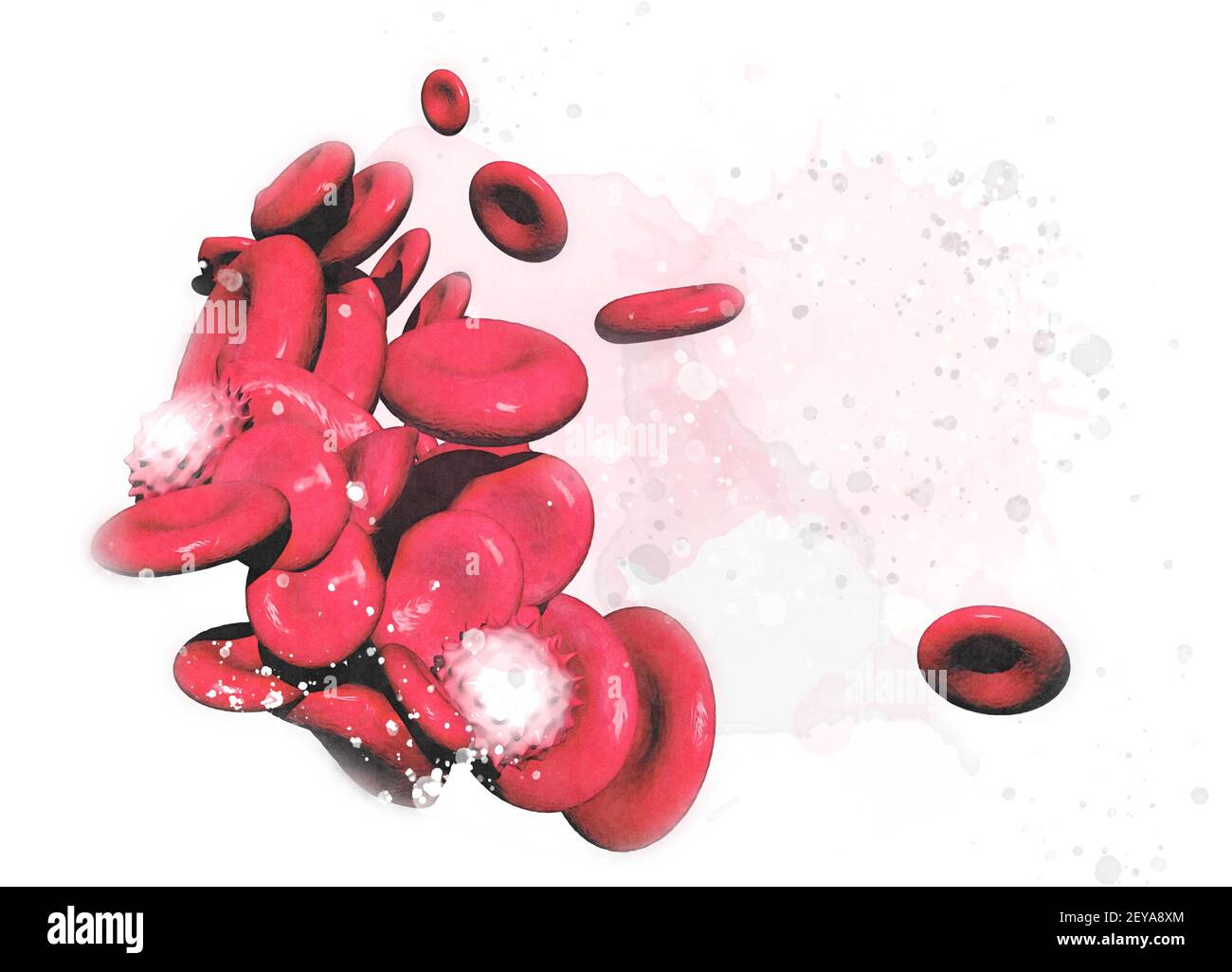 Cells biology Banque d'images détourées - Alamy