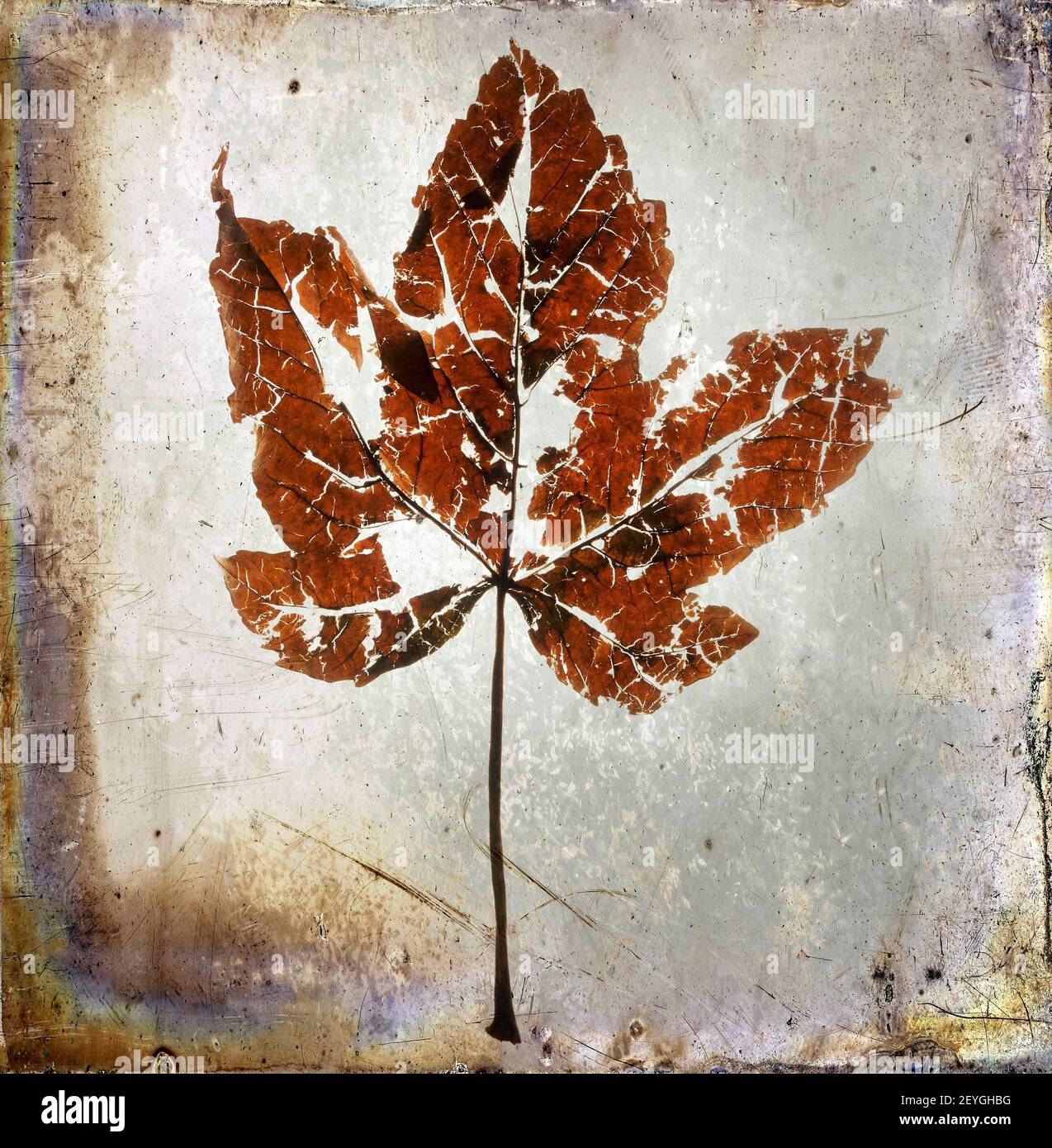 Effet texturé Banque de photographies et d’images à haute résolution ...