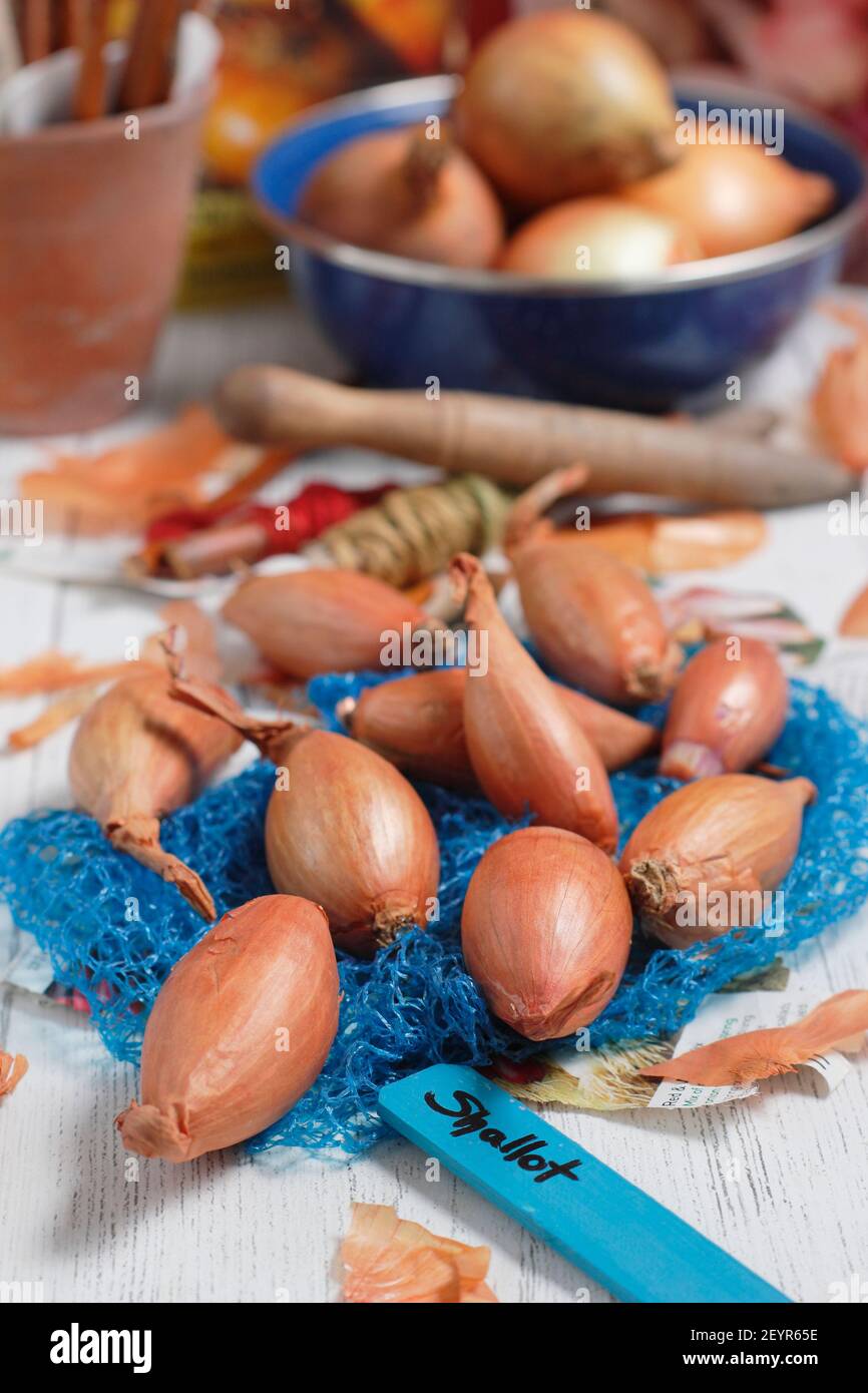 échalotes bananes Banque de photographies et d’images à haute ...