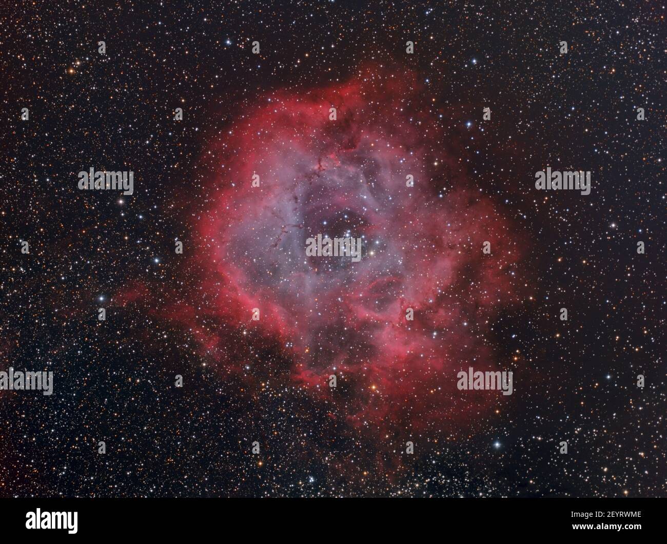 Rosette nebula Banque de photographies et d’images à haute résolution ...