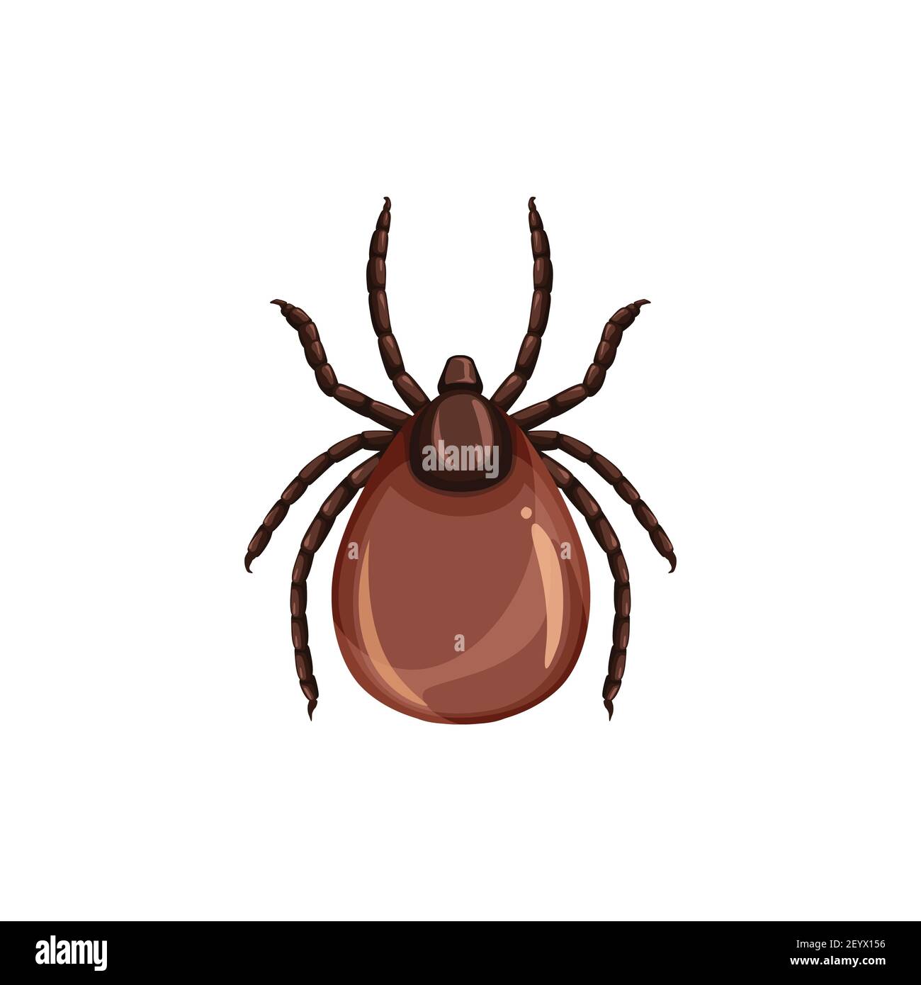 Icône de l'insecte de la tique, lutte antiparasitaire, extermination ...