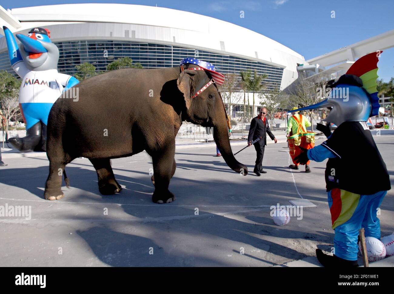 Billy, la mascotte de Miami Marlins, à droite, encourage un éléphant du ...
