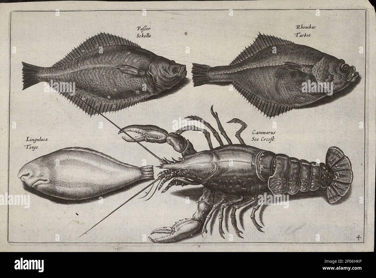 Icônes de piscium vivae Banque de photographies et d’images à haute ...