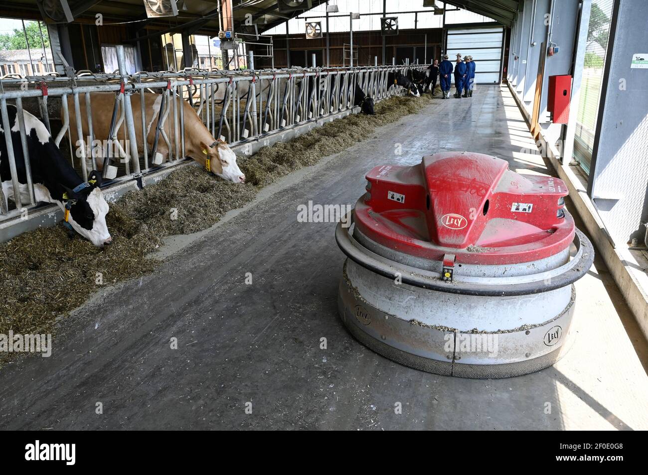 Robot de traite lely Banque de photographies et d’images à haute résolution - Alamy