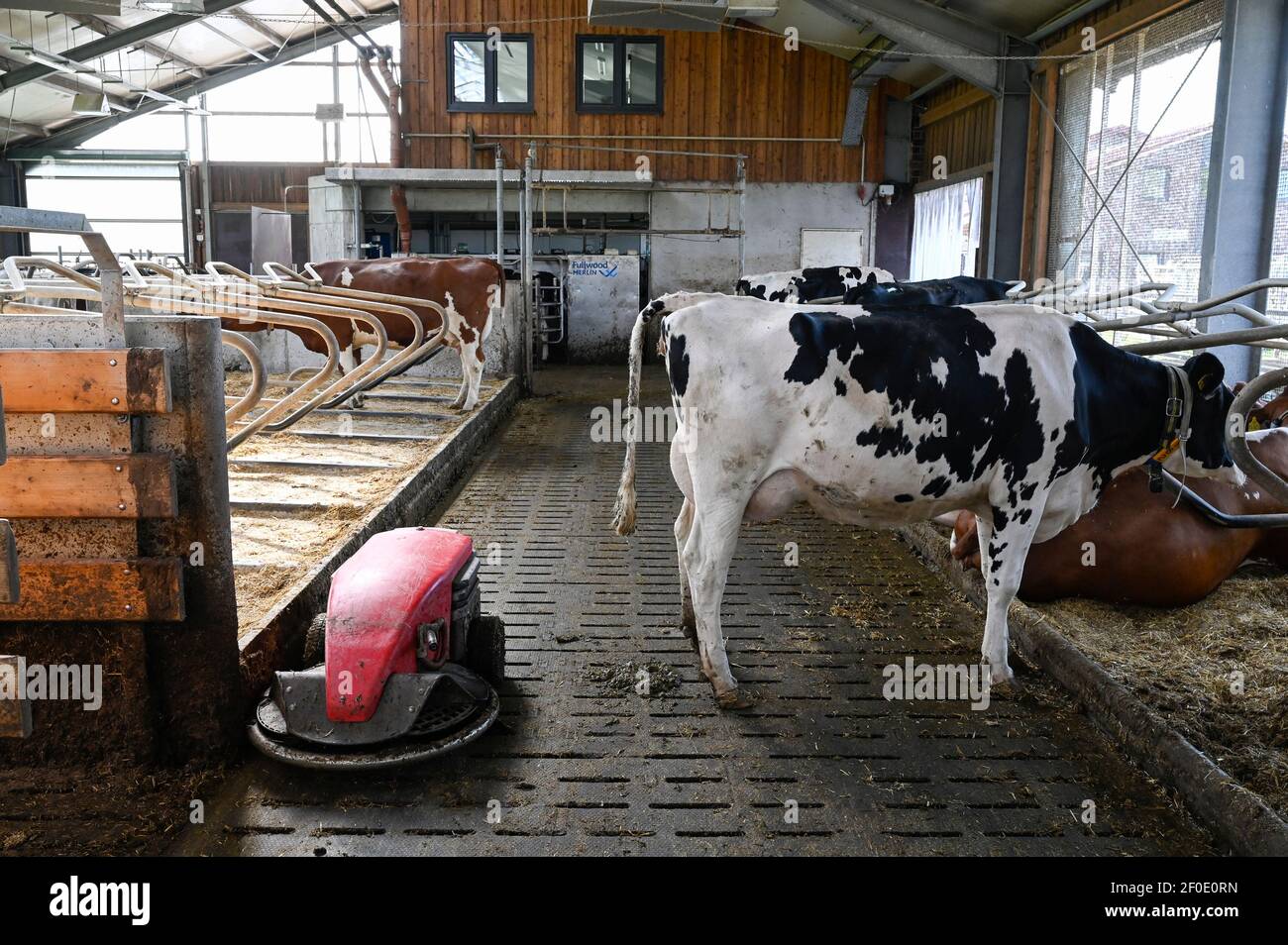 Robot de traite lely Banque de photographies et d’images à haute résolution - Alamy