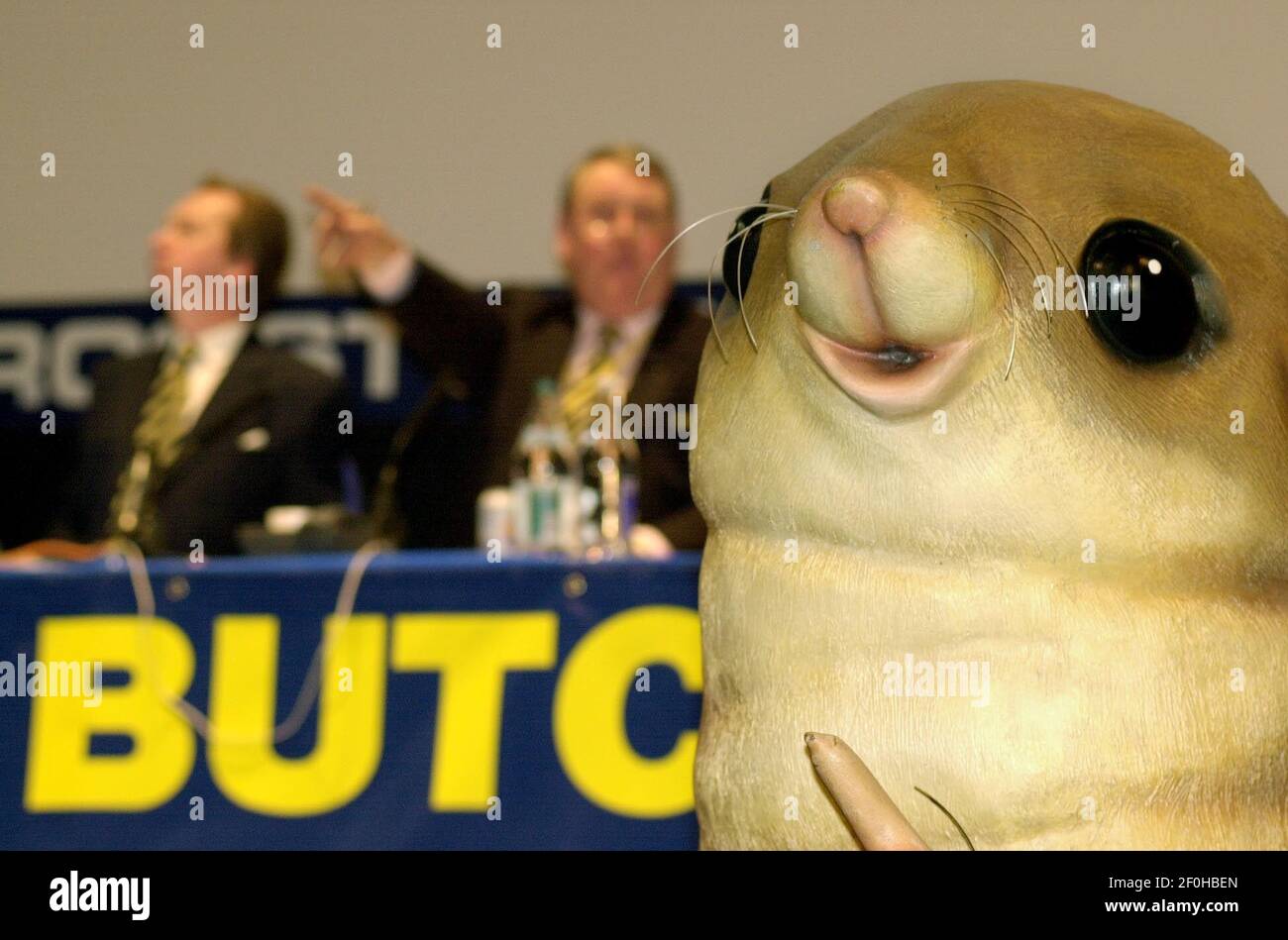 Hamster géant Banque de photographies et d’images à haute résolution ...