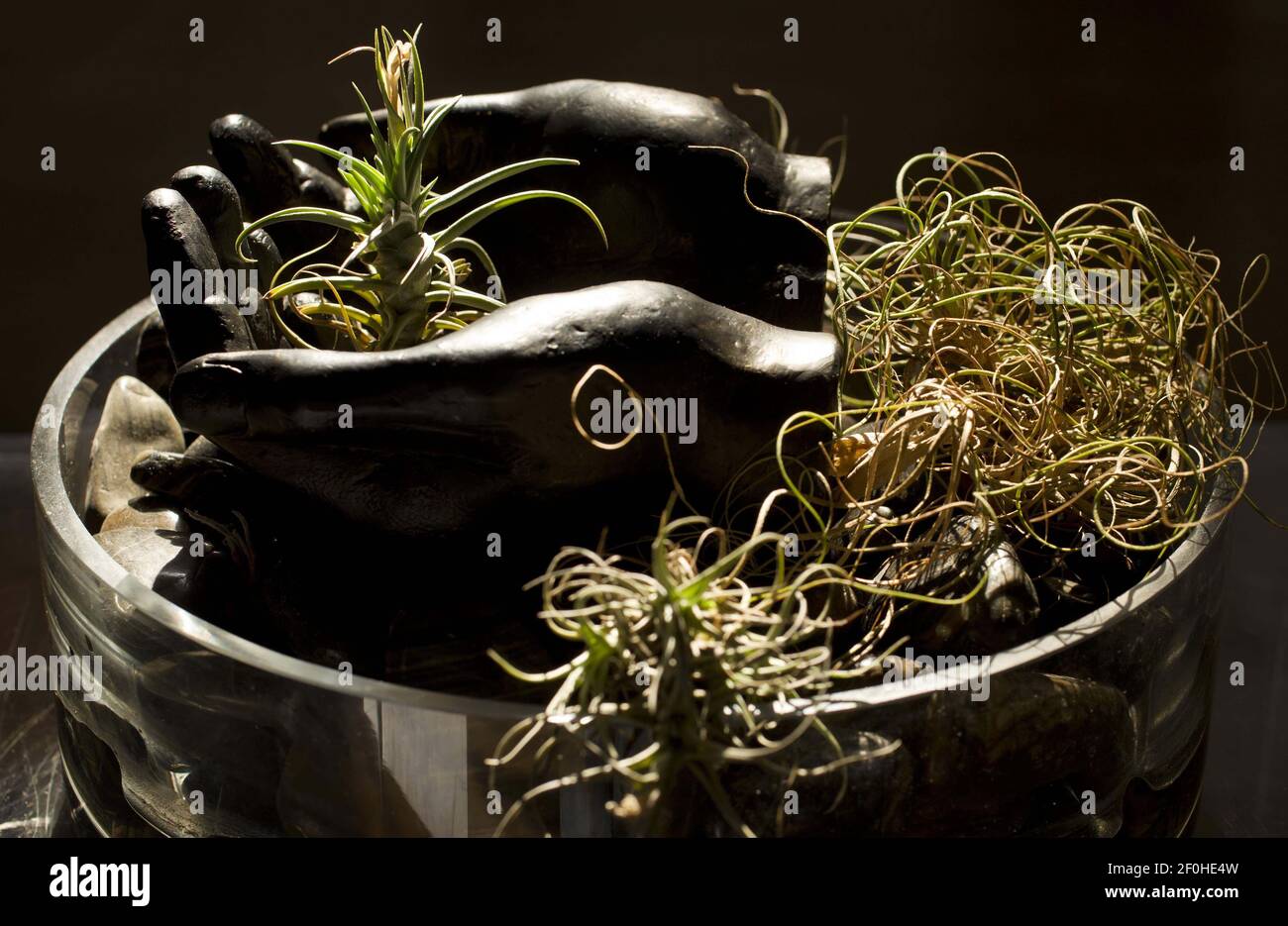 Un terrarium de table dans un bol en verre avec un ensemble décoratif ...