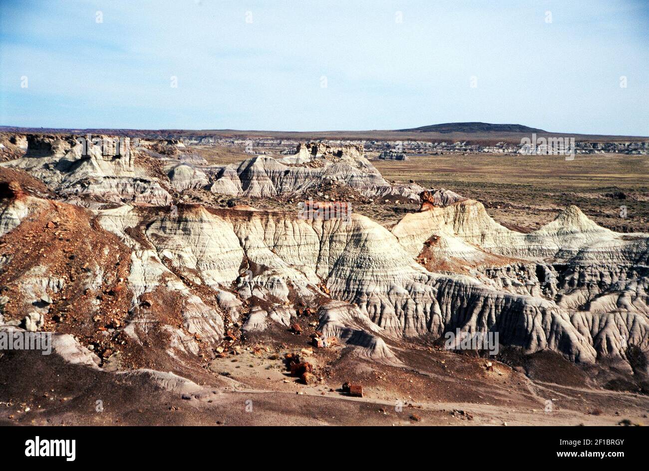 Le Blue Mesa fait partie de la formation de Chinle au parc national de ...