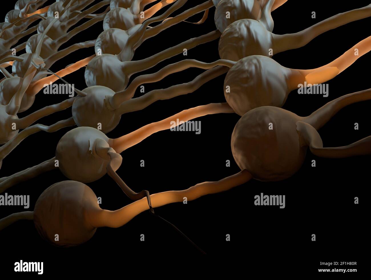Réseau neuronal artificiel. Réseau de neurones avec des liens de ...