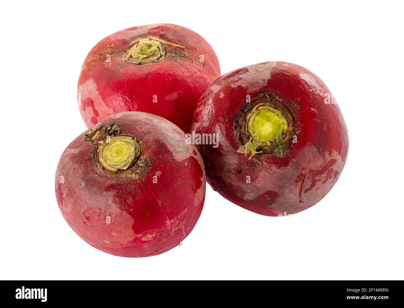 Radis rouge Banque de photographies et d’images à haute résolution - Alamy