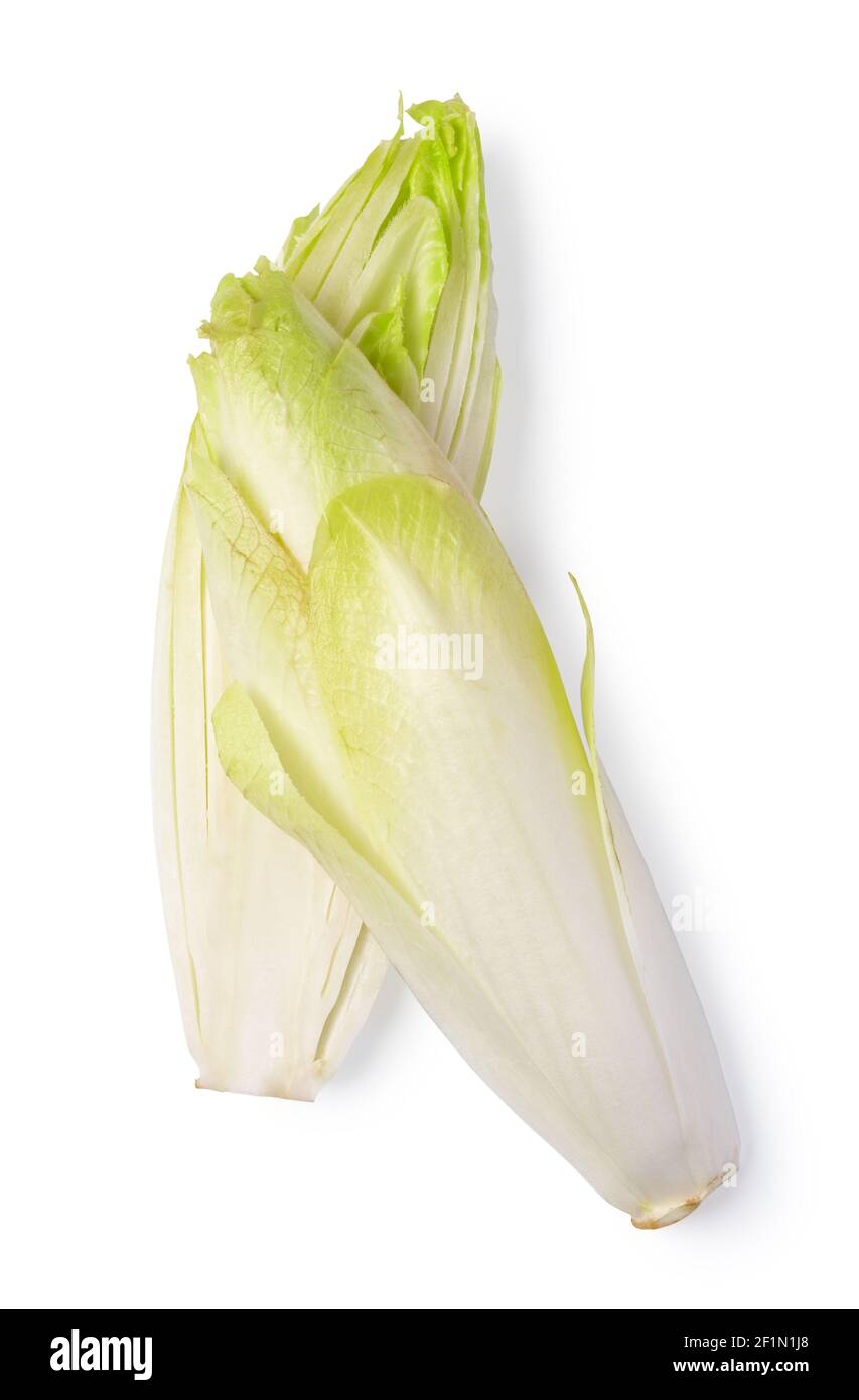 Endives belges Banque de photographies et d’images à haute résolution ...
