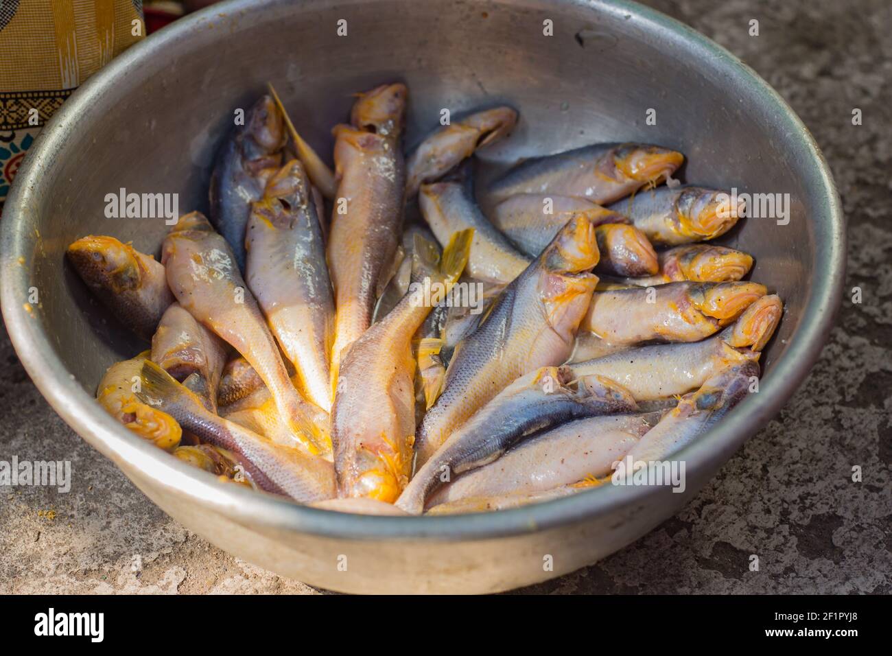 Poisson de mangue Banque de photographies et d’images à haute ...