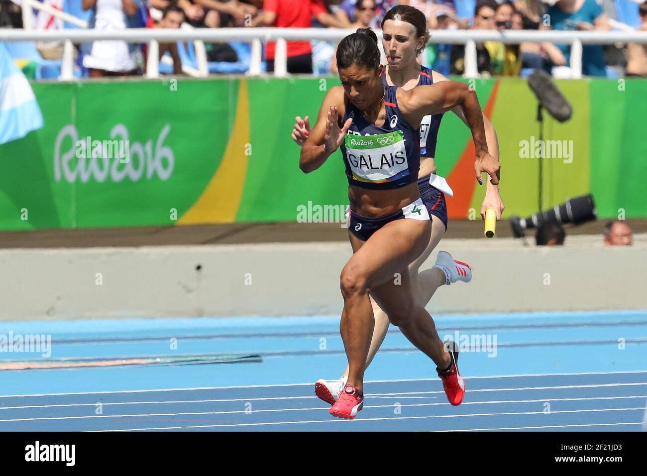 Céline distel bonnet Banque de photographies et d’images à haute ...