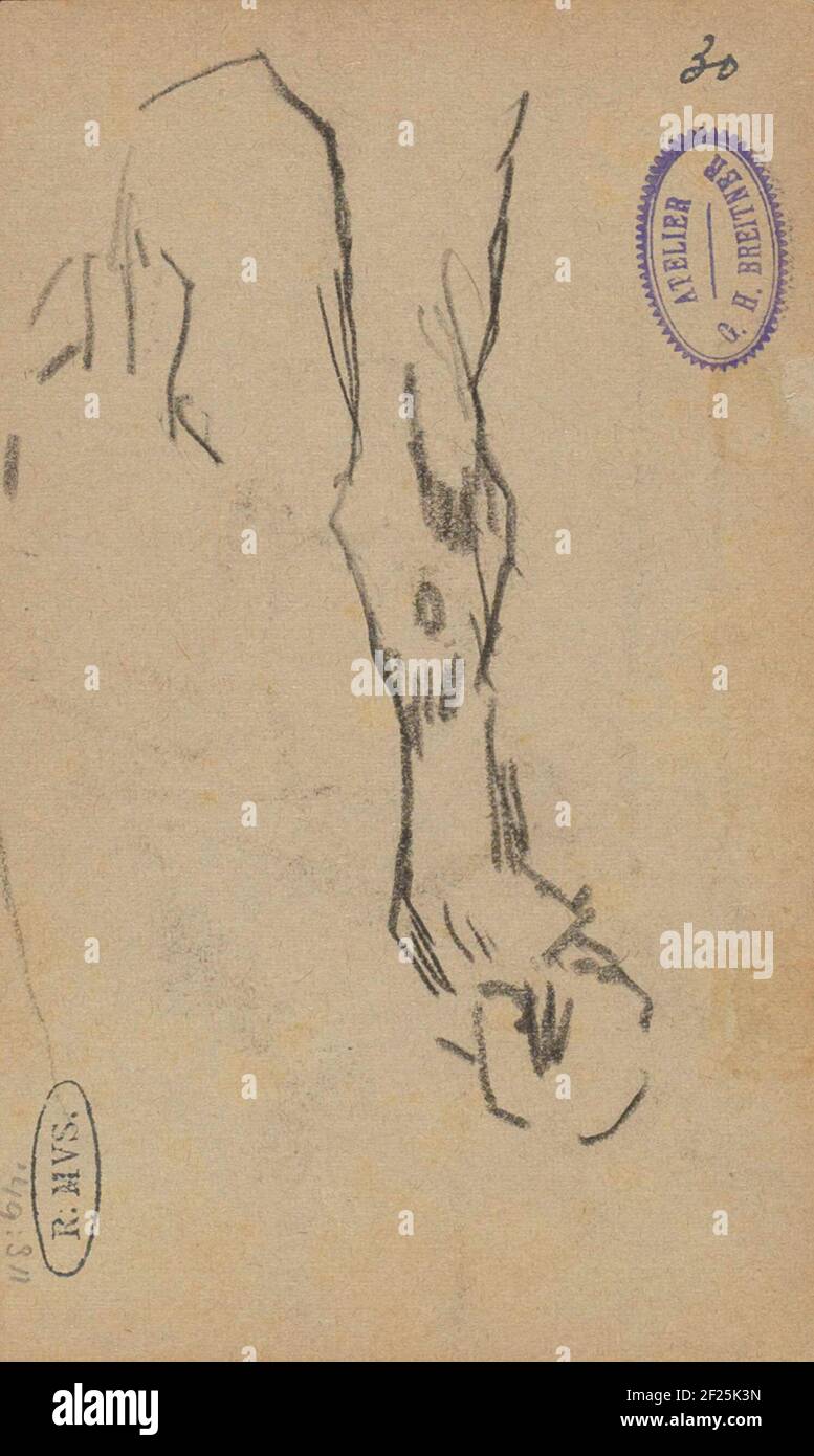 Os de cheval Banque de photographies et d’images à haute résolution - Alamy