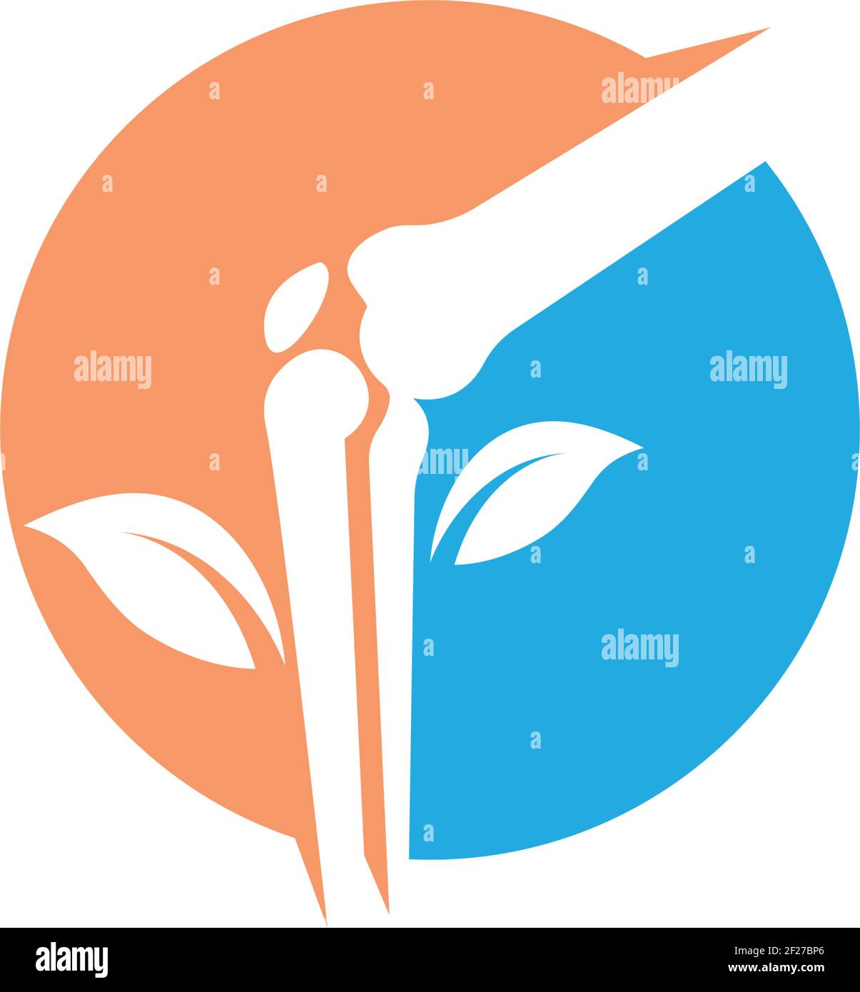 Sacroiliac Joints Banque d'images vectorielles - Alamy