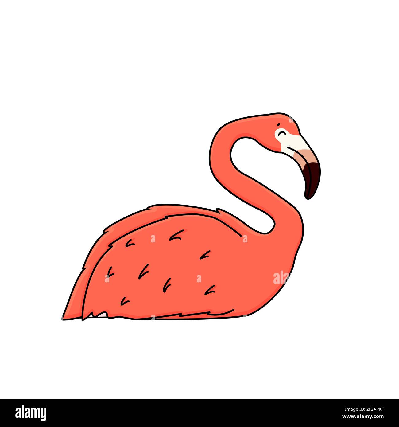 Vector vector dessin animé rose pêche flamant isolé sur fond blanc. L ...