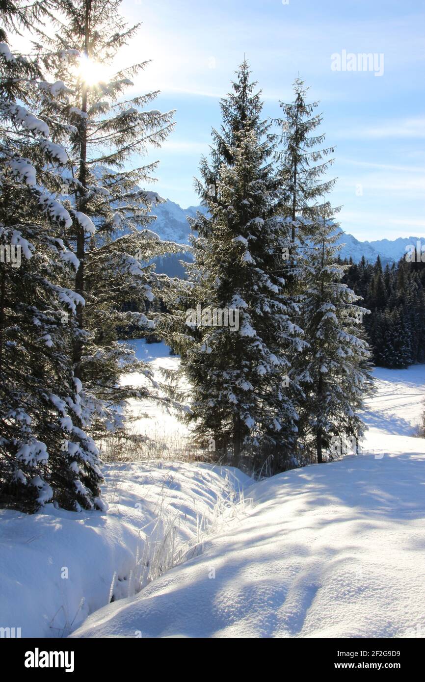 Allemagne, Bavière, montagnes, Hirzeneck, paysage d'hiver, Haute ...