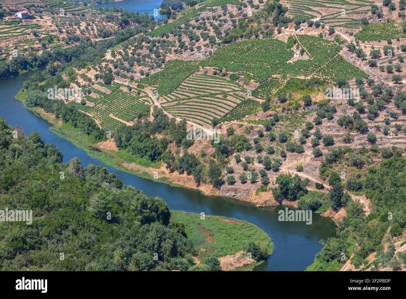 Vue aérienne sur le fleuve Douro, paysage typique des hauts plateaux ...