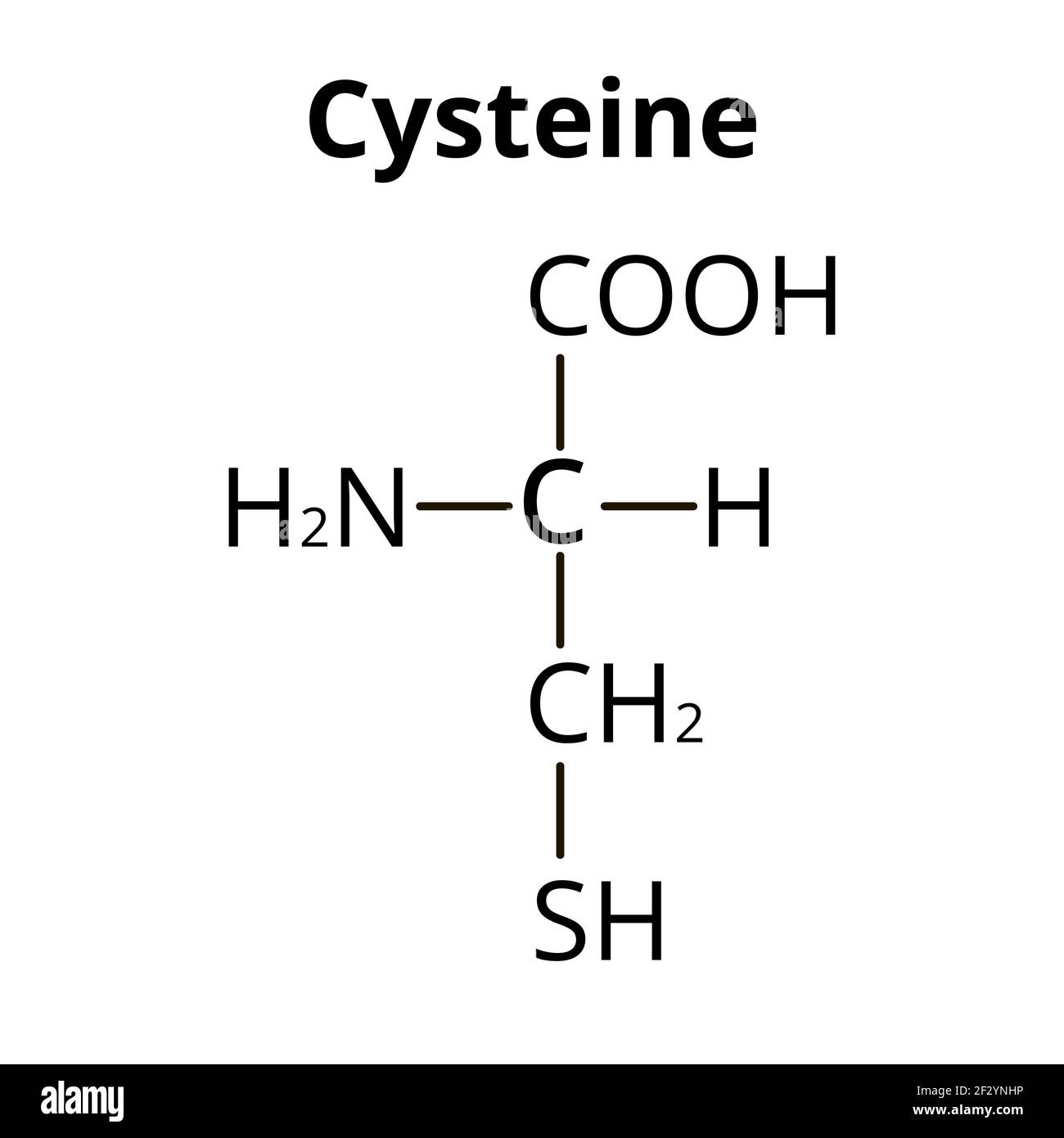 L'acide aminé cystéine. Formule moléculaire chimique acide cystéine ...