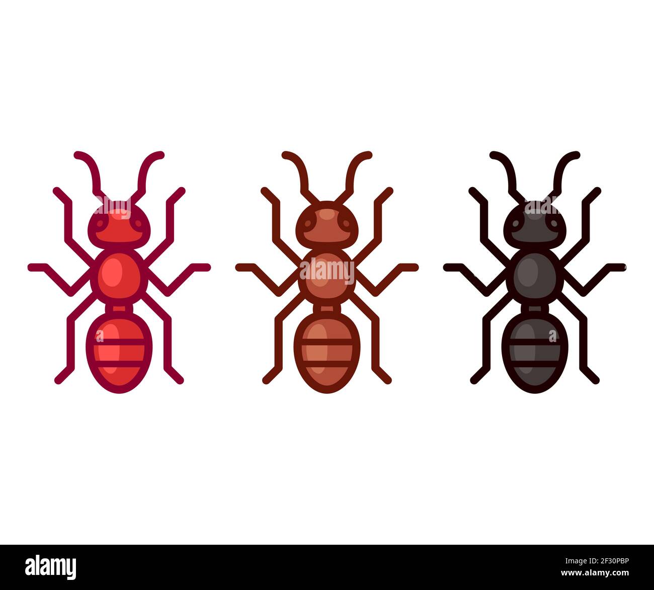 Fourmi Noire Banque d'images vectorielles - Alamy