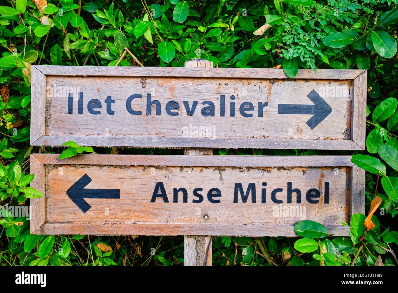France, Antilles, Martinique, Sainte-Anne, Cap Chevalier, La plage de l ...