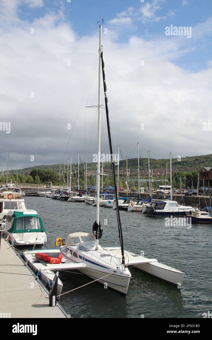Trimarans libellule Banque de photographies et d’images à haute ...