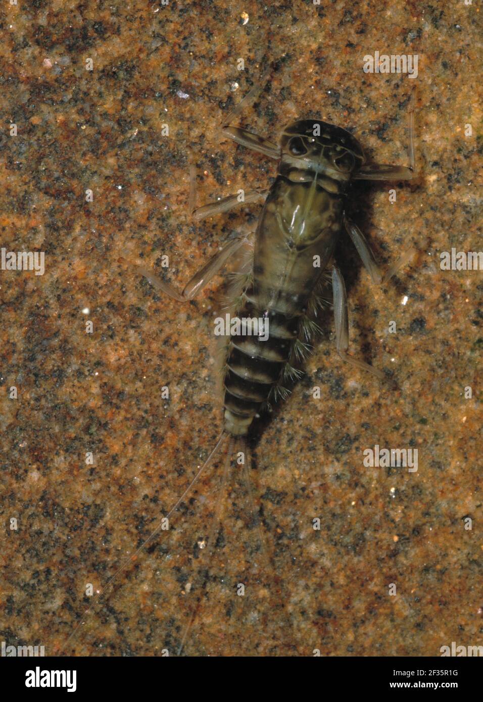 Castledawson Banque de photographies et d’images à haute résolution - Alamy