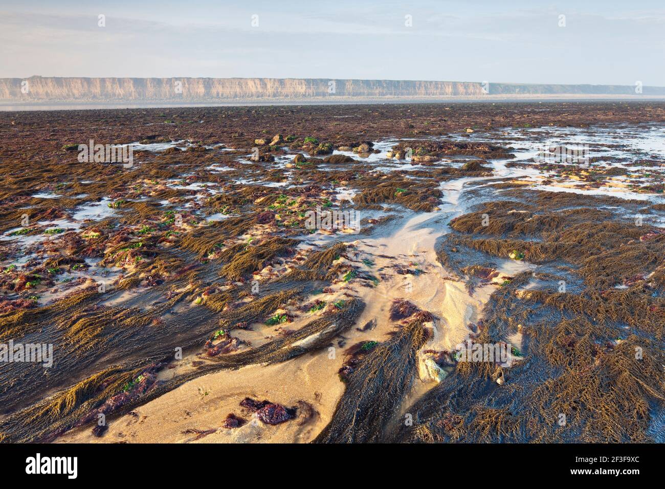 Calvados coast Banque de photographies et d’images à haute résolution ...