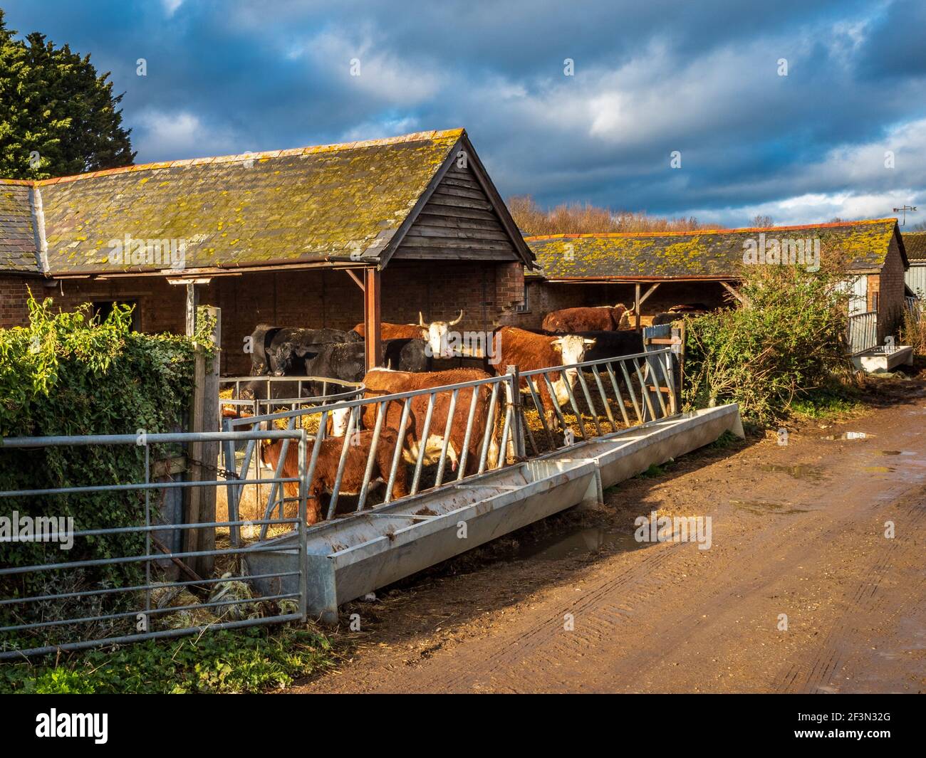 Cour de ferme Banque de photographies et d’images à haute résolution ...