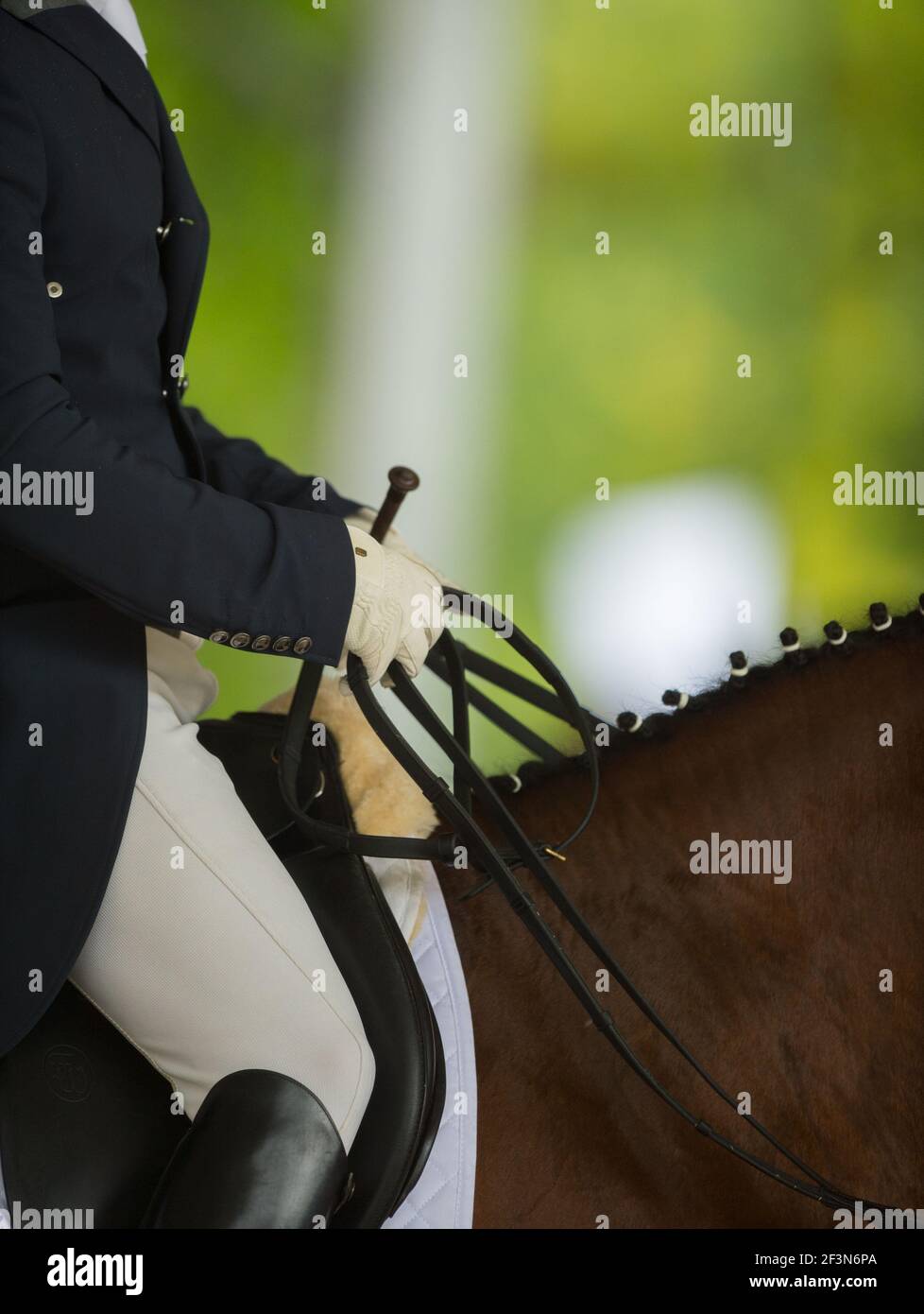 Position du cou Banque de photographies et d’images à haute résolution ...