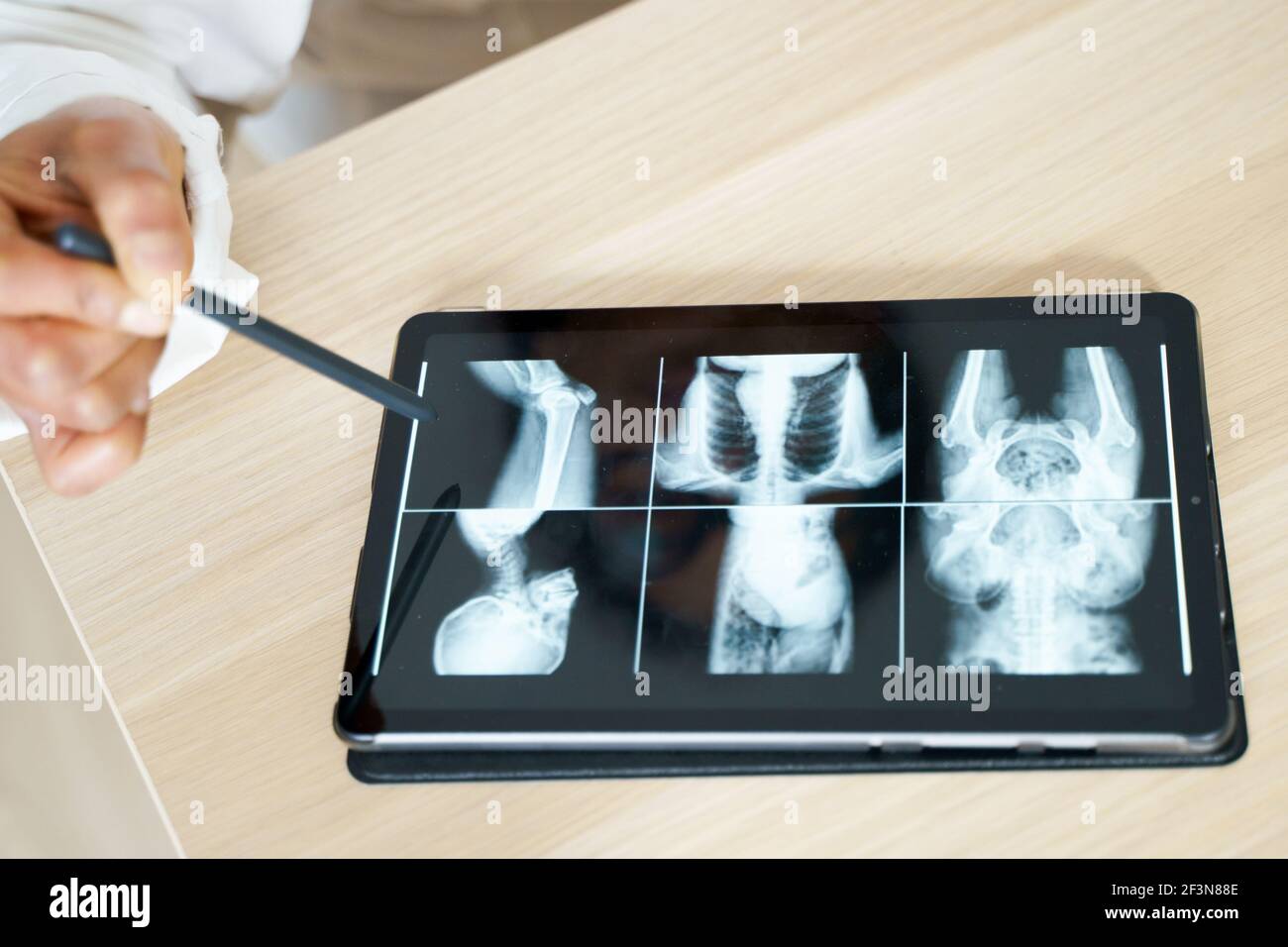 Digital xray Banque de photographies et d’images à haute résolution - Alamy