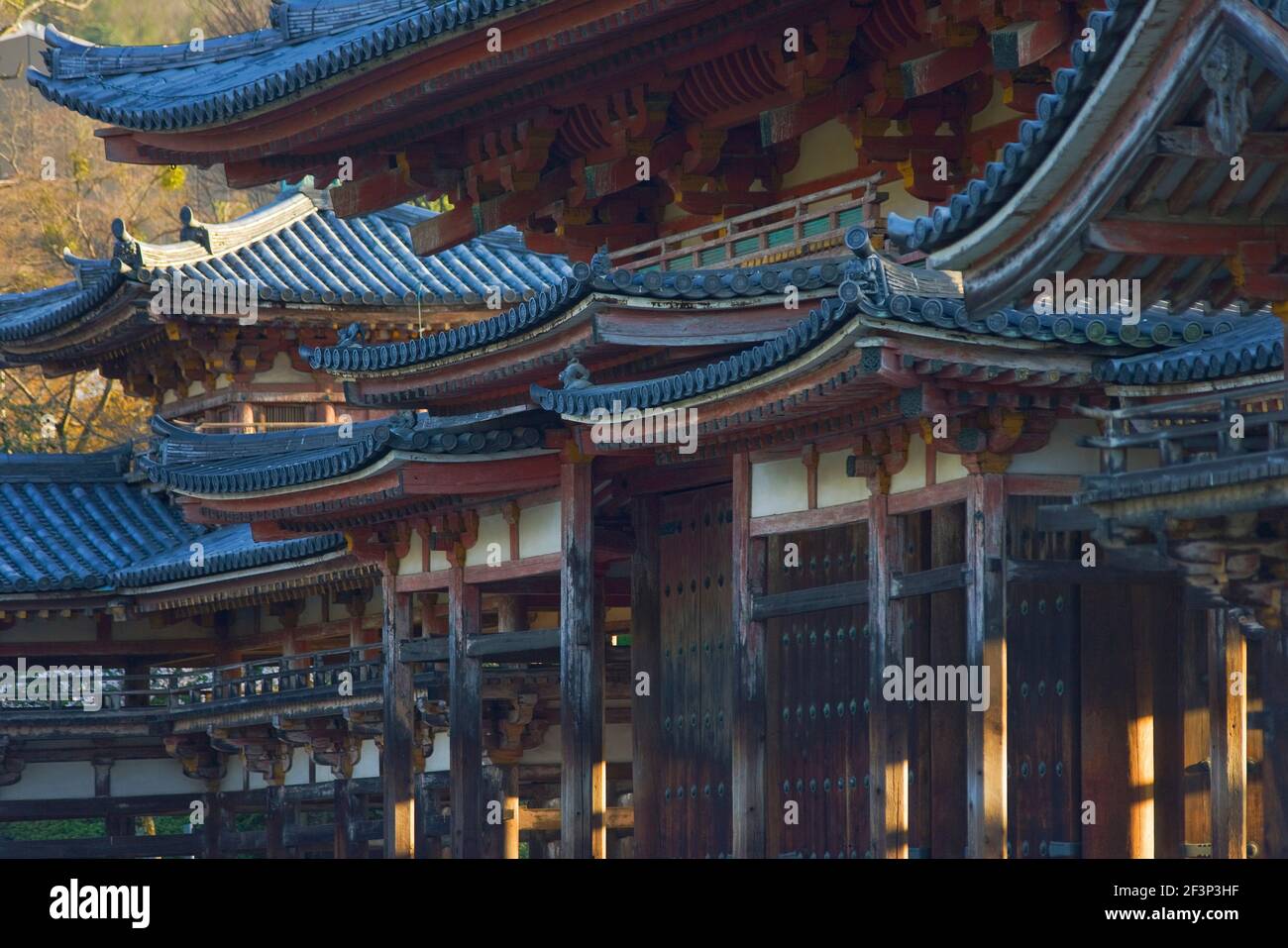 Une vue téléobjectif montre la construction traditionnelle en bois ...