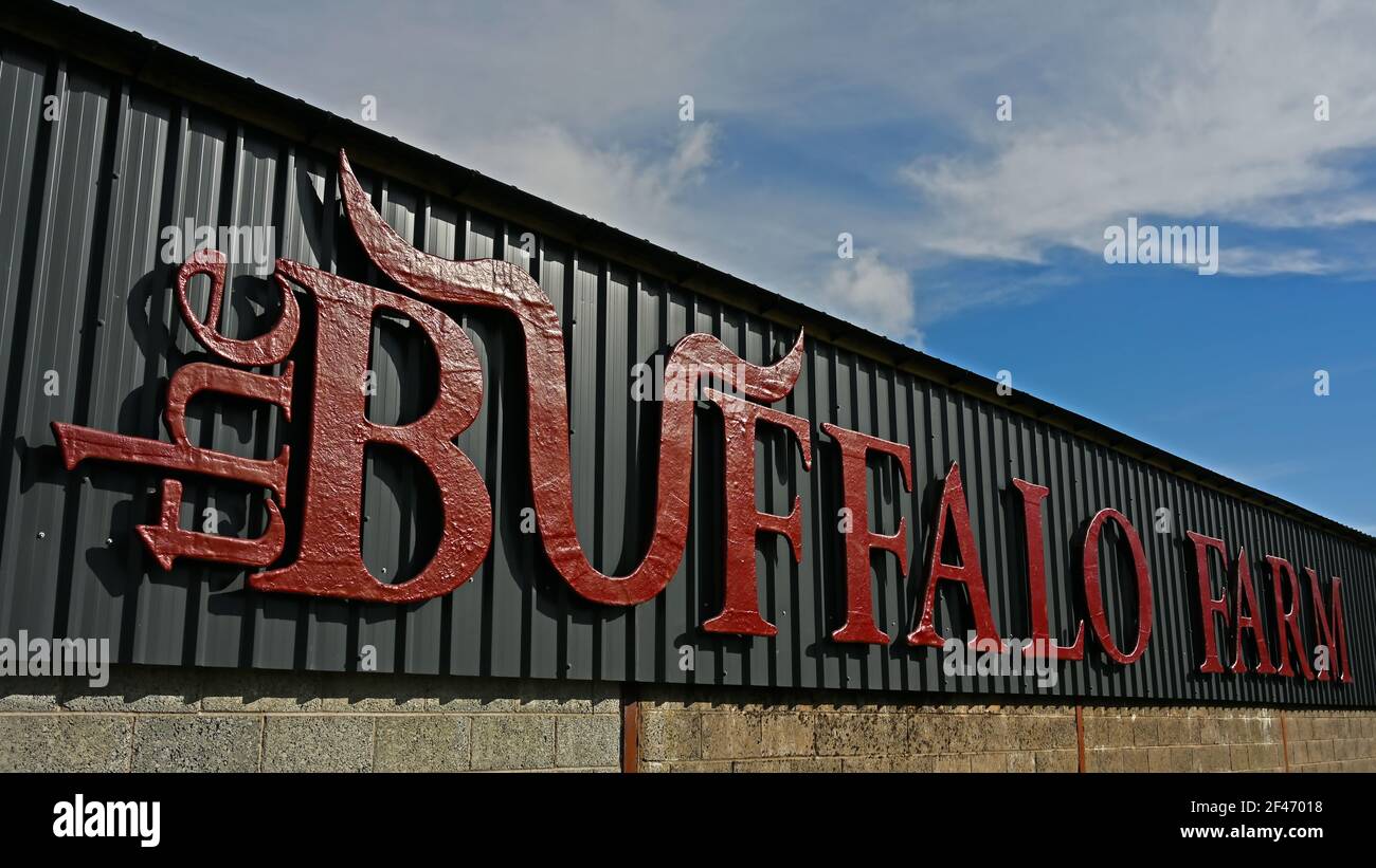 Buffalo farm Banque de photographies et d’images à haute résolution - Alamy