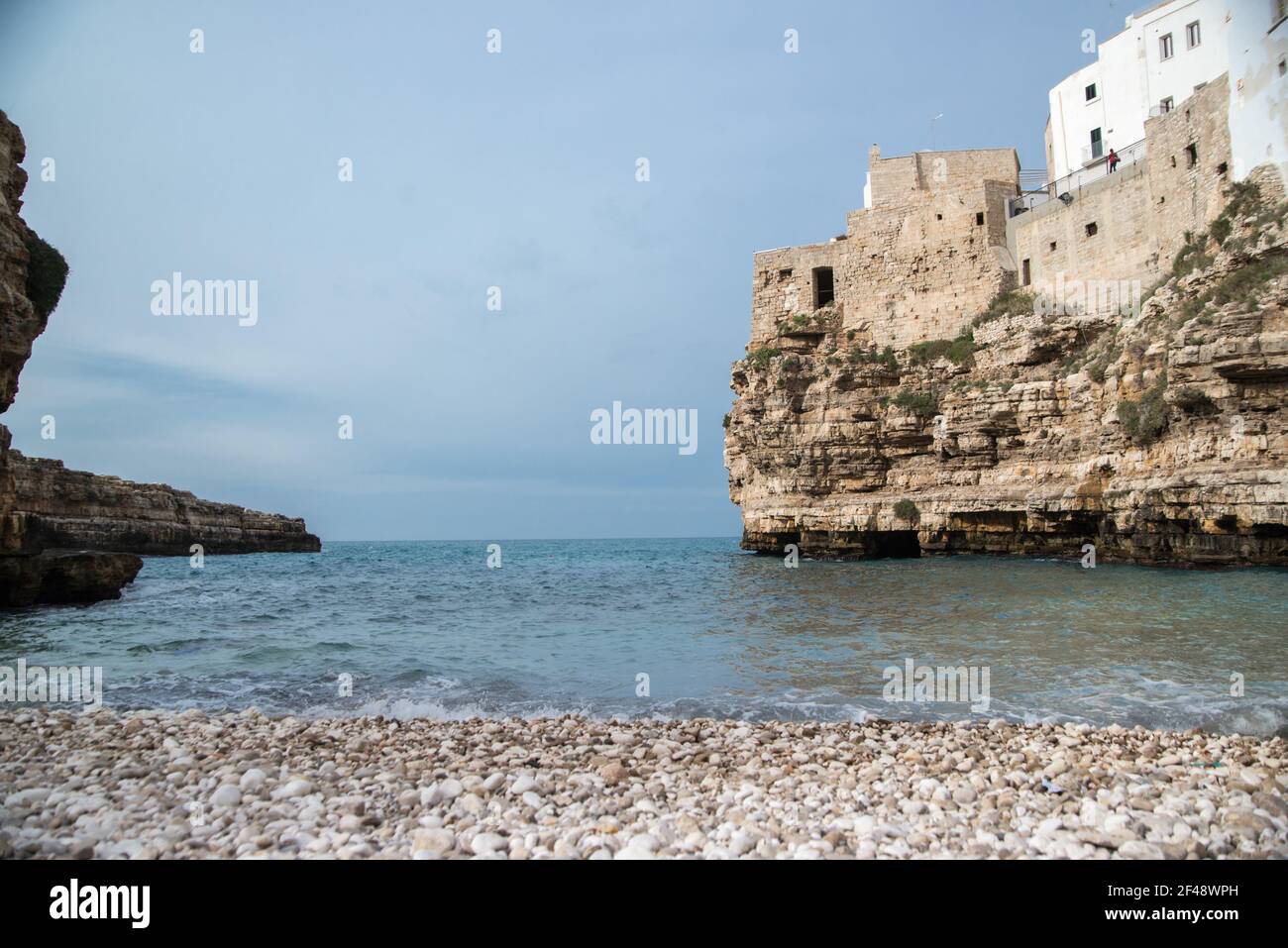 Lama monachile Banque de photographies et d’images à haute résolution ...