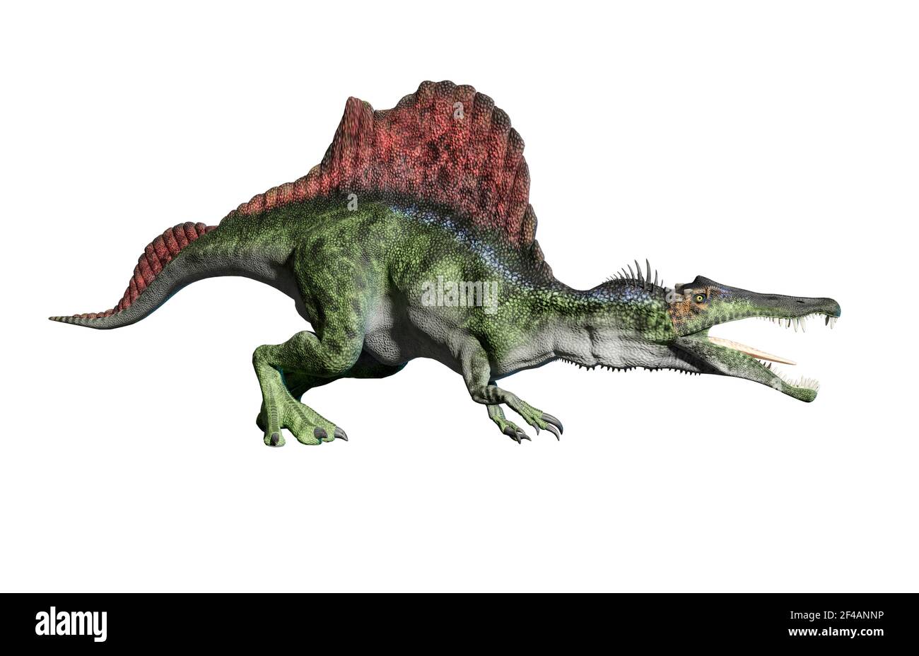 Spinosaurus aegyptiacus Banque de photographies et d’images à haute résolution - Alamy