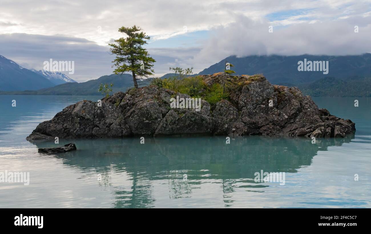 Arbre qui pousse sur un rocher Banque de photographies et d’images à ...