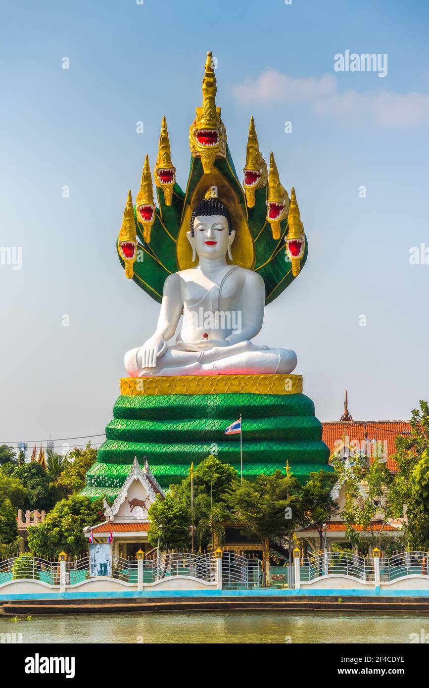 Grande Statue Blanche De Bouddha Banque d'image et photos - Alamy